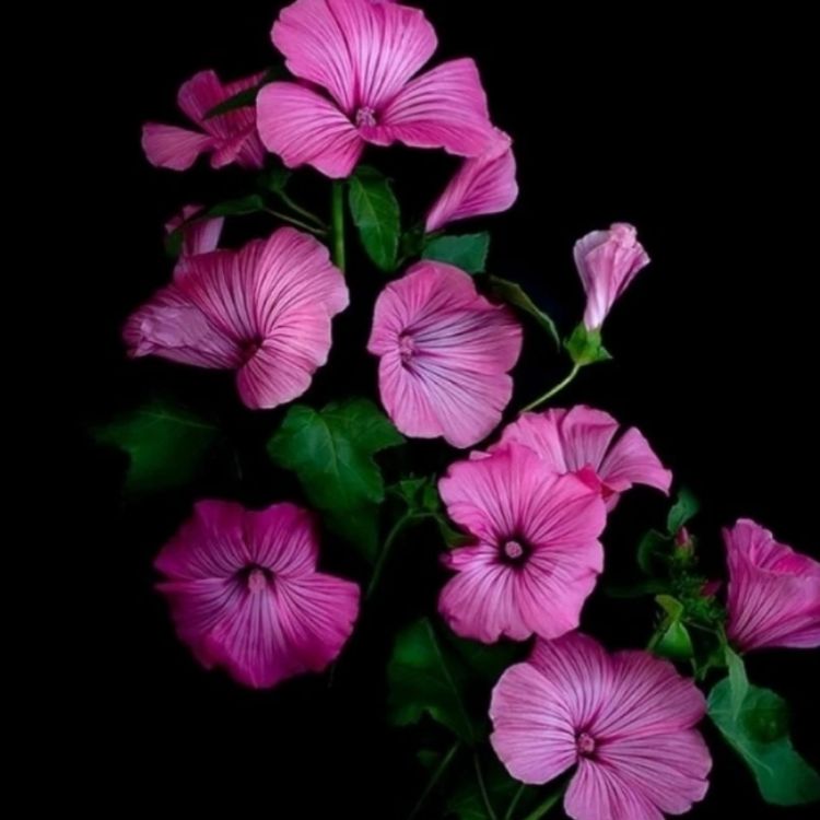 Иконка канала channel48557893