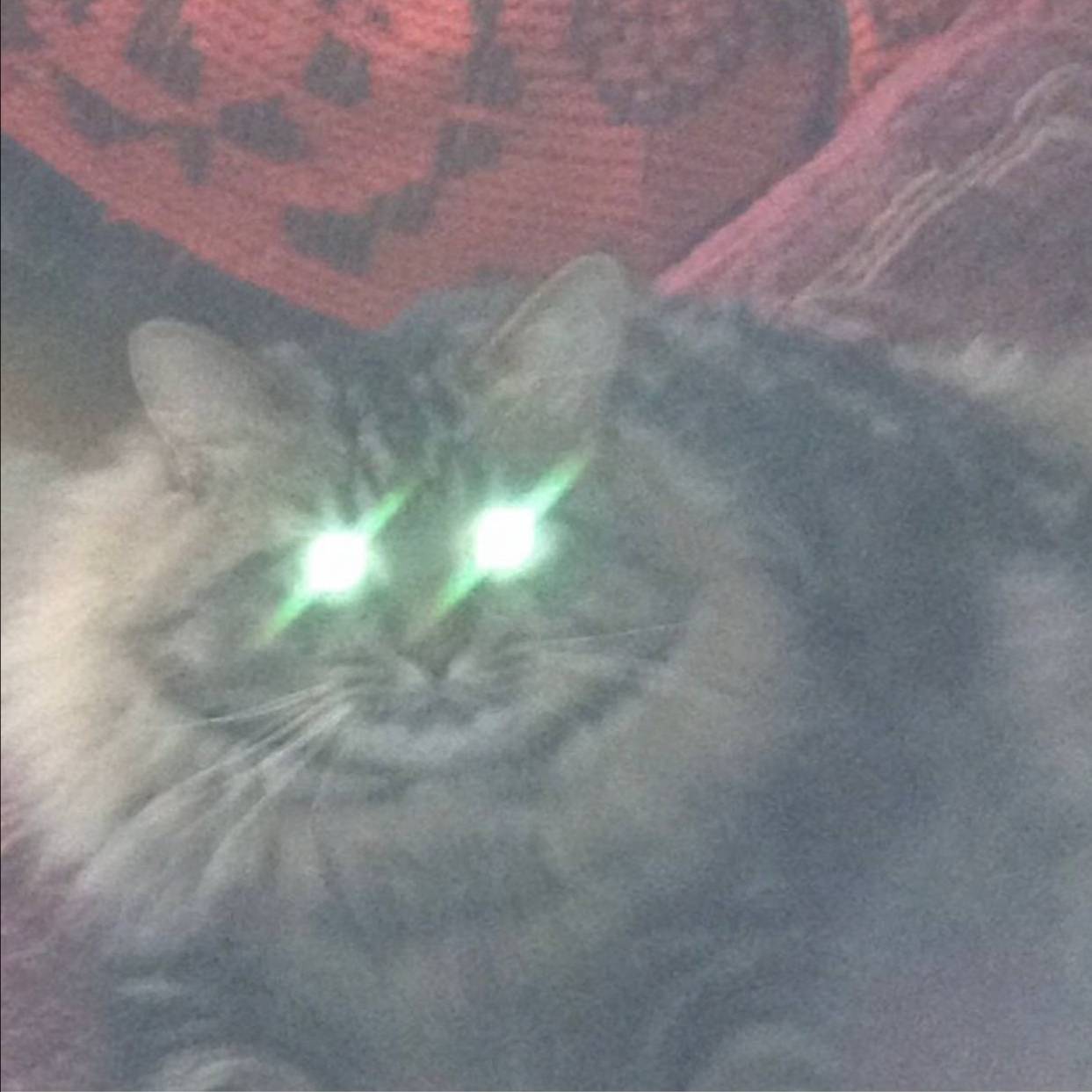 Иконка канала Красивые моменты