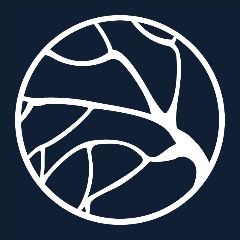 Иконка канала Центр Инновационной Флебологии доктора Соломахина