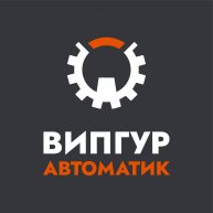 Иконка канала ВИПГУР АТ - ремонт рулевых реек и АКПП