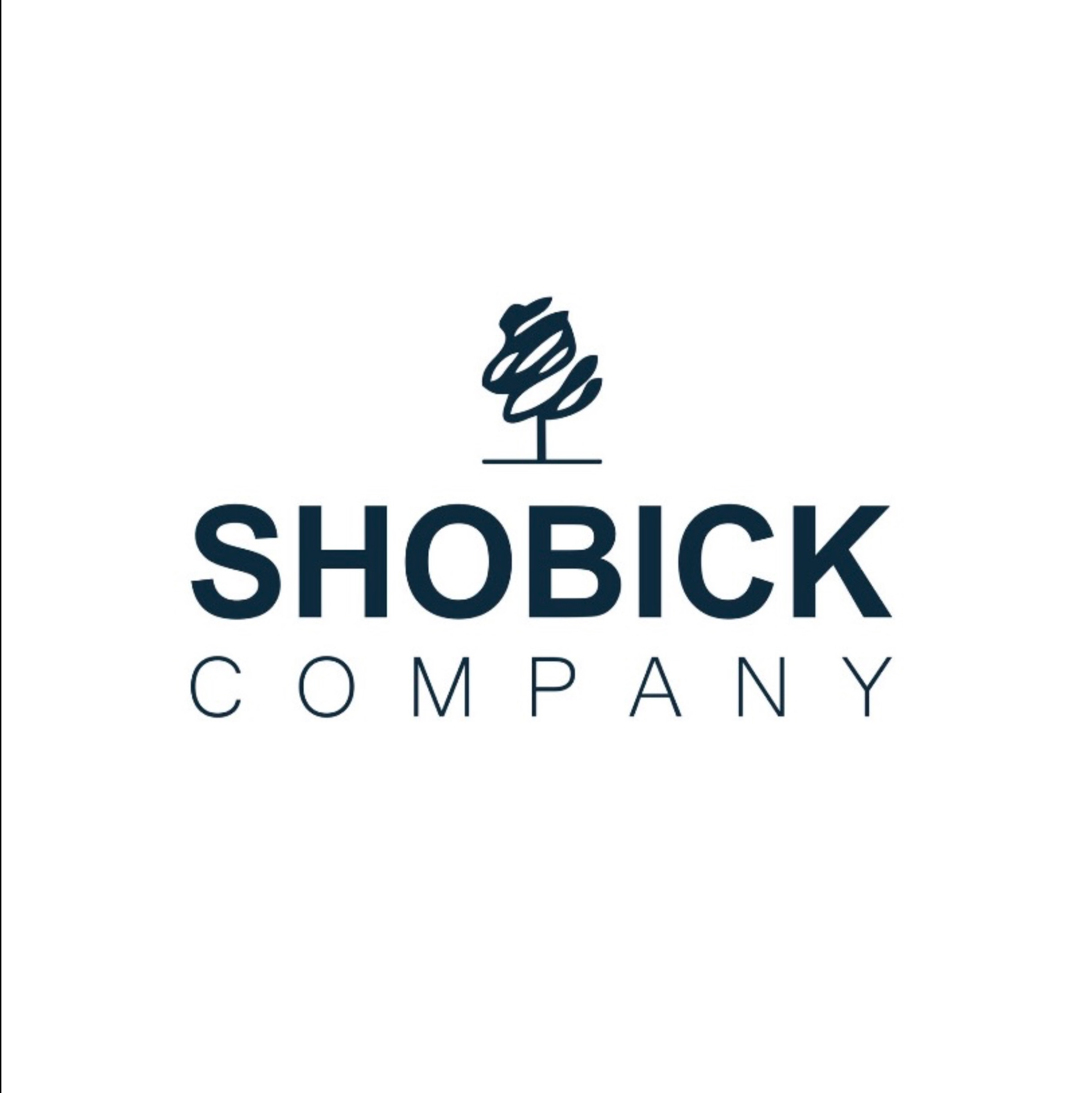 Иконка канала Shobick Company