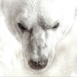 Иконка канала STALKER27RUS