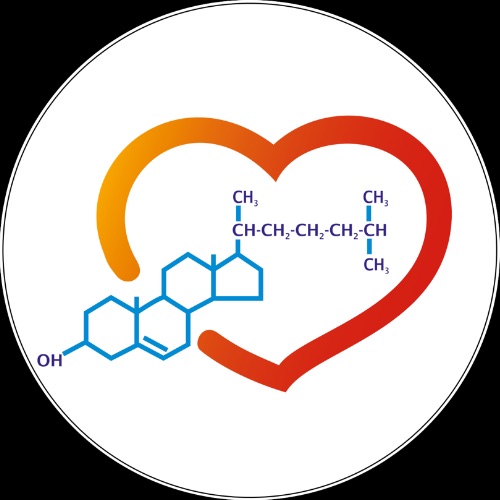 Иконка канала Санкт-Петербургская школа атеросклероза