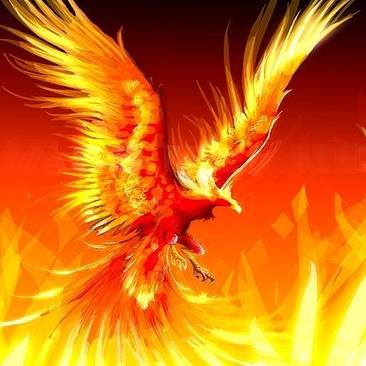 Иконка канала Представительство Fohow - (world-fenix.ru)