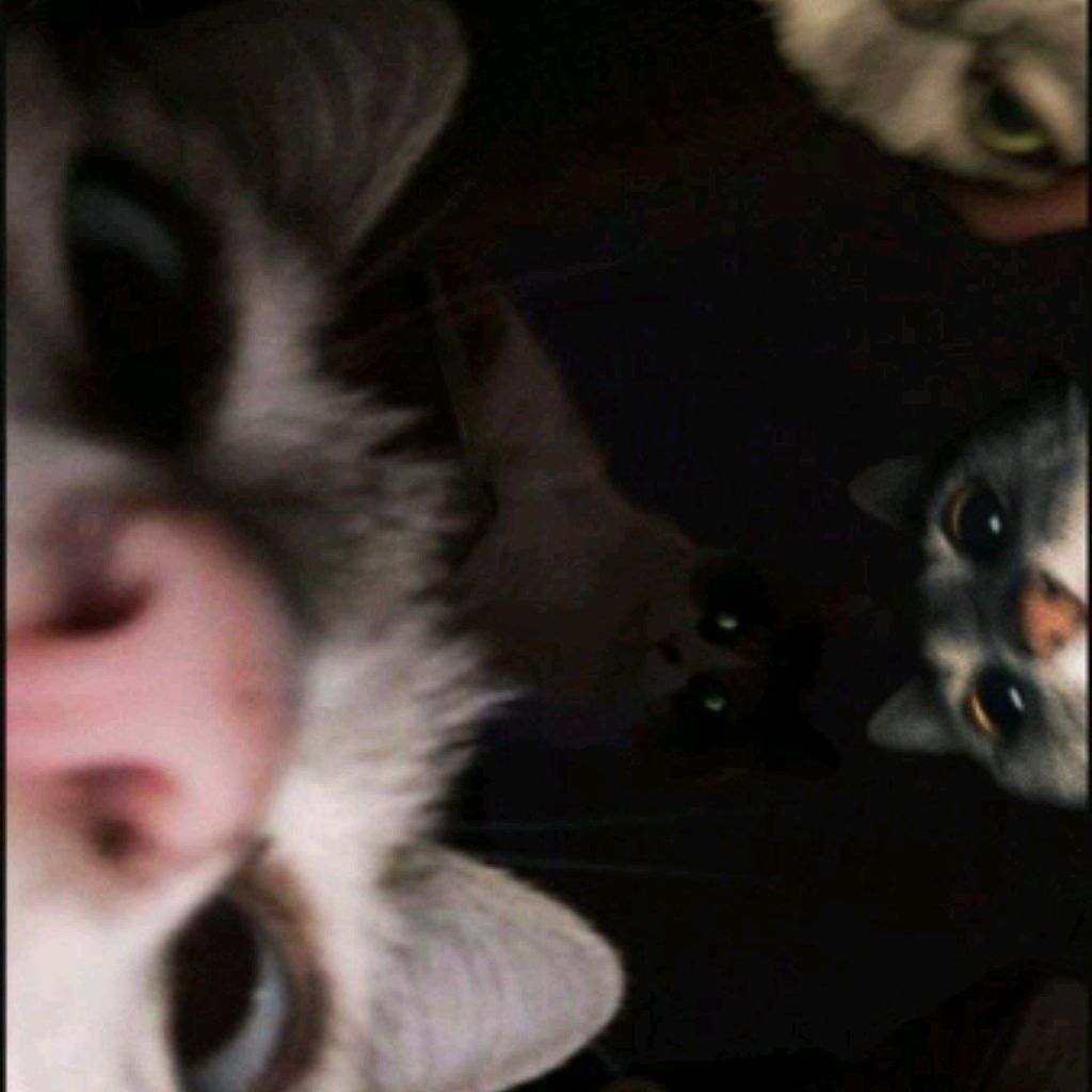 Иконка канала Привет Пока🖤