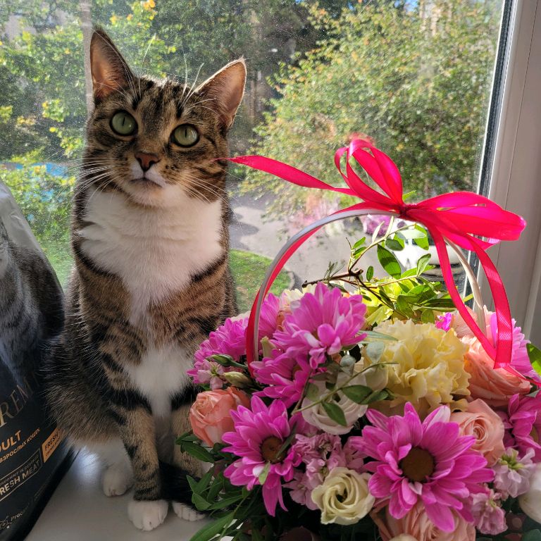 Иконка канала 🎀ДЕВЧАТА🎀