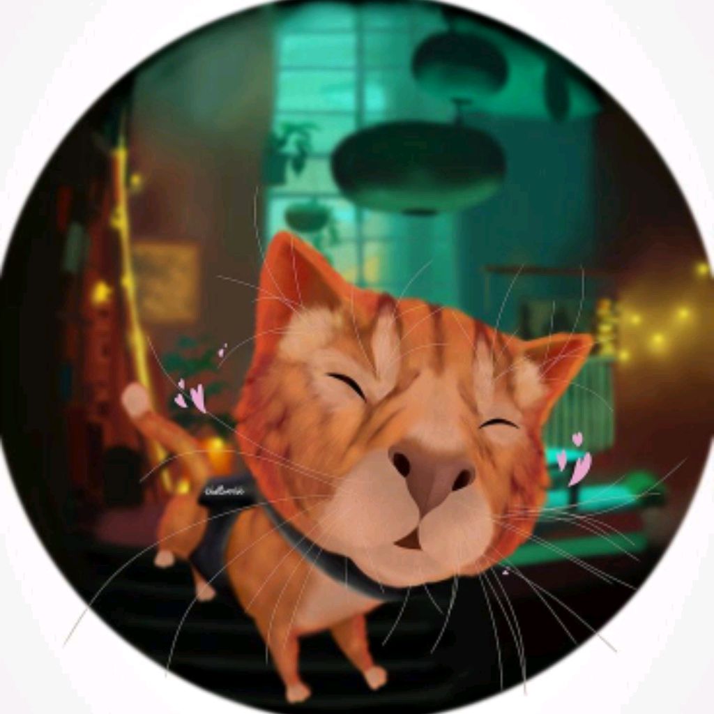 Иконка канала stray😺