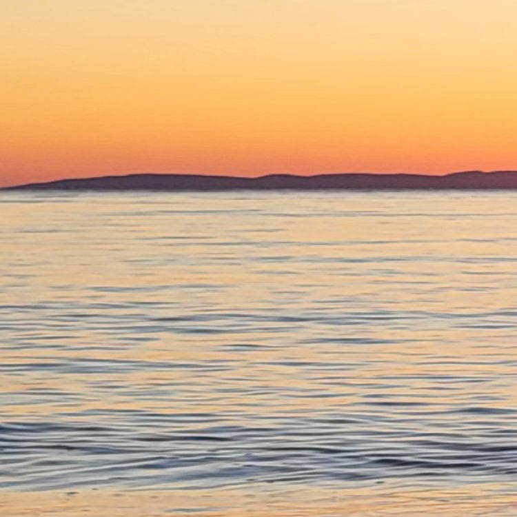 Иконка канала Wasilisa_artlife