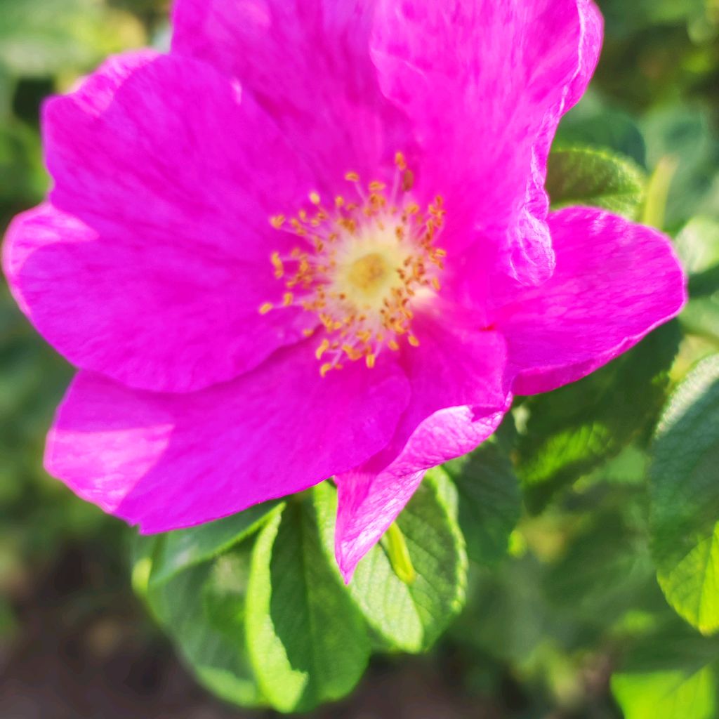 Иконка канала Юлия