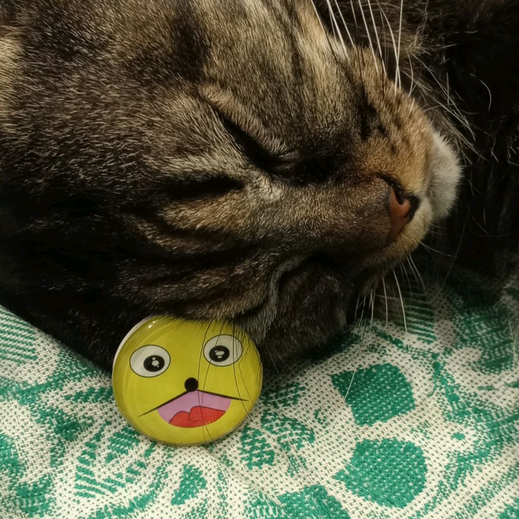 Иконка канала Барсики рулят