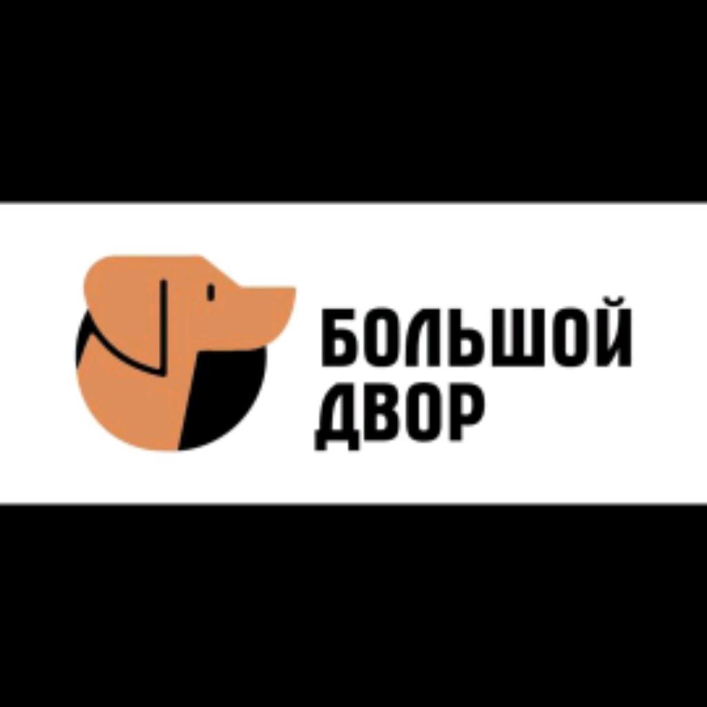 Иконка канала Большой Двор