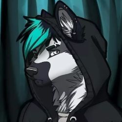 Иконка канала Волк 777