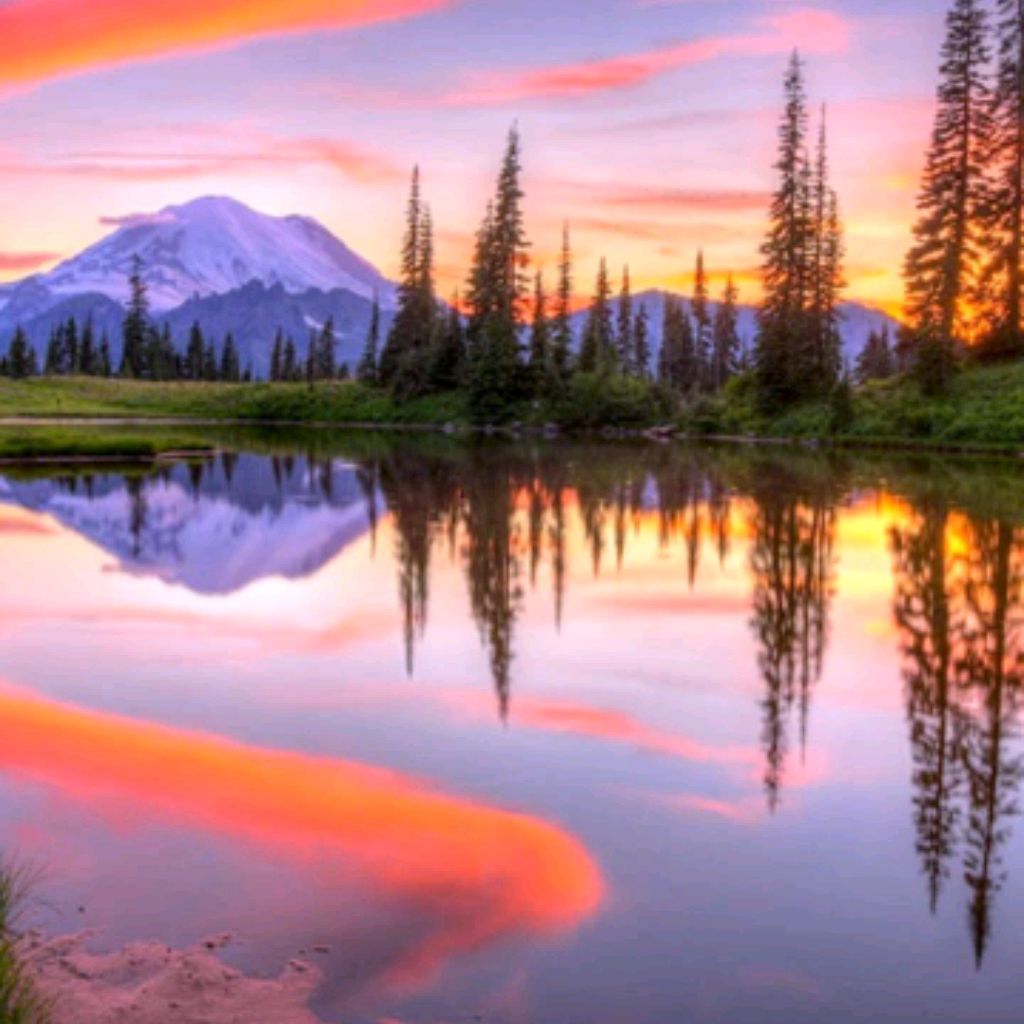 Иконка канала Тимофей  подпишись пожалуйста❤️🔥