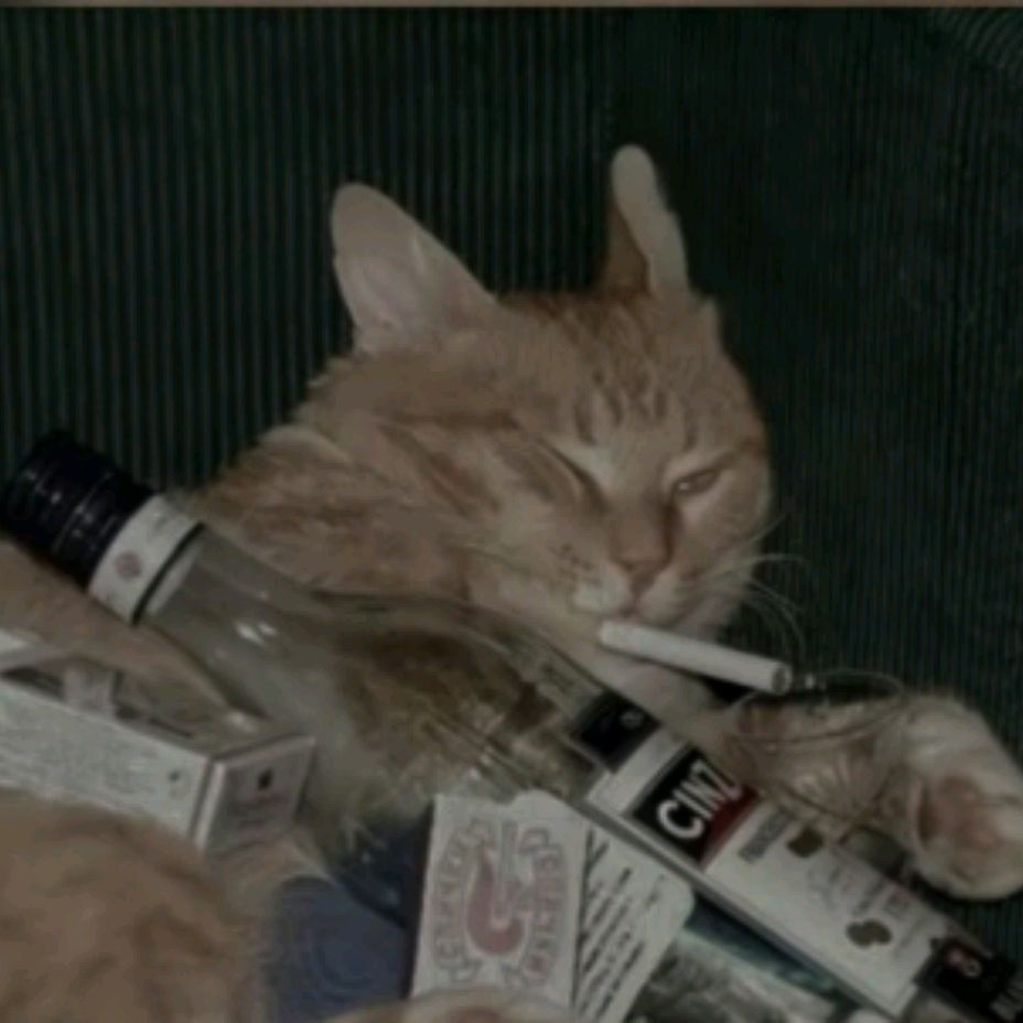 Иконка канала ZuxerGD