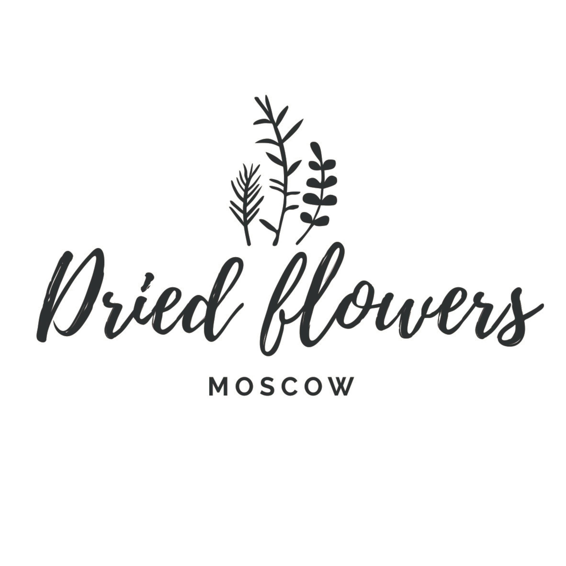 Иконка канала Dried  Flowers Moscow, магазин сухоцветов