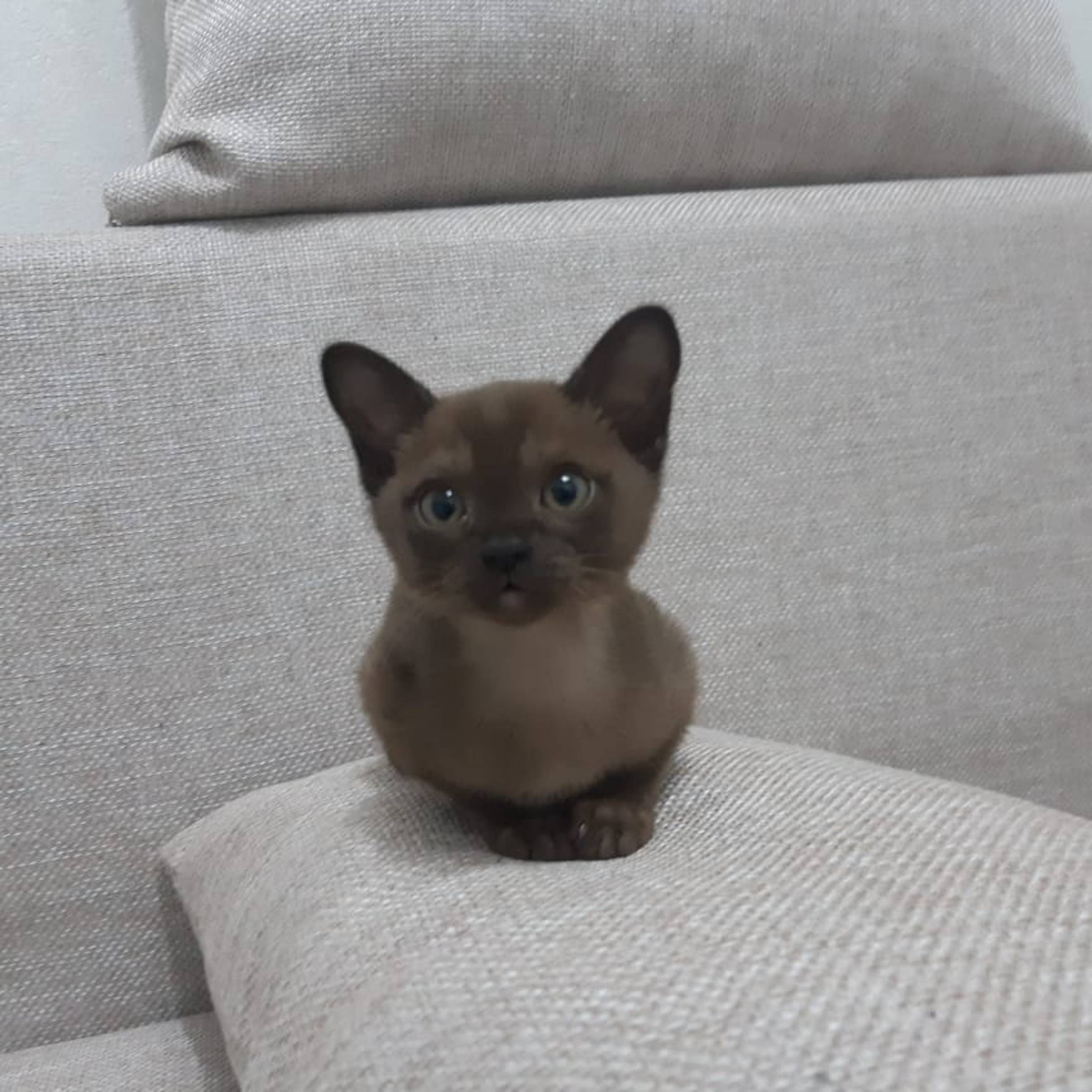 Иконка канала Mrmark