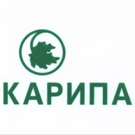 Иконка канала КАРИПАИН