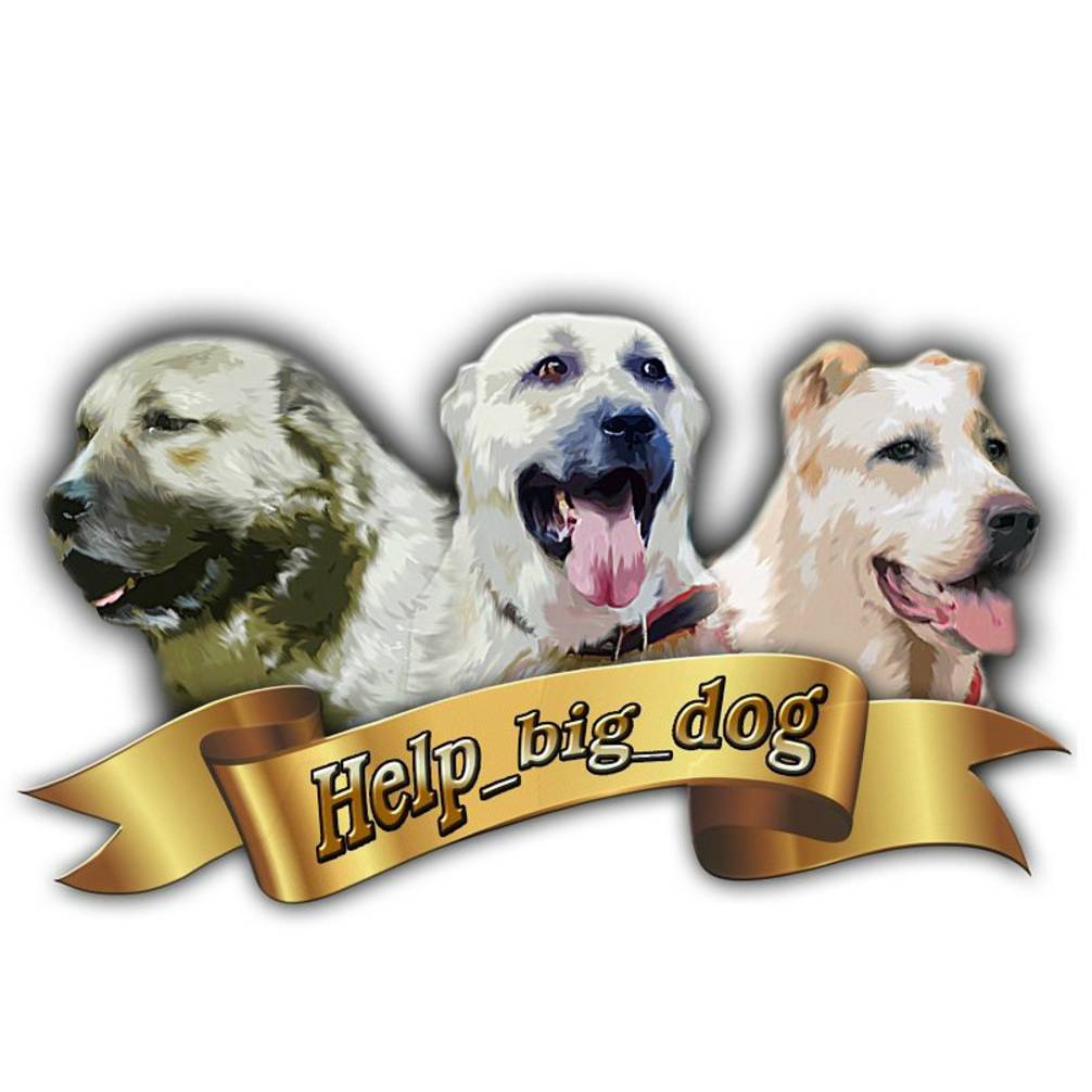 Иконка канала Дом больших собак