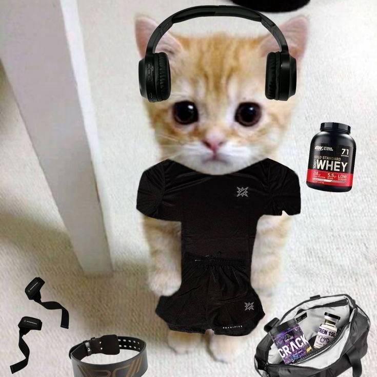 Иконка канала tugarin3