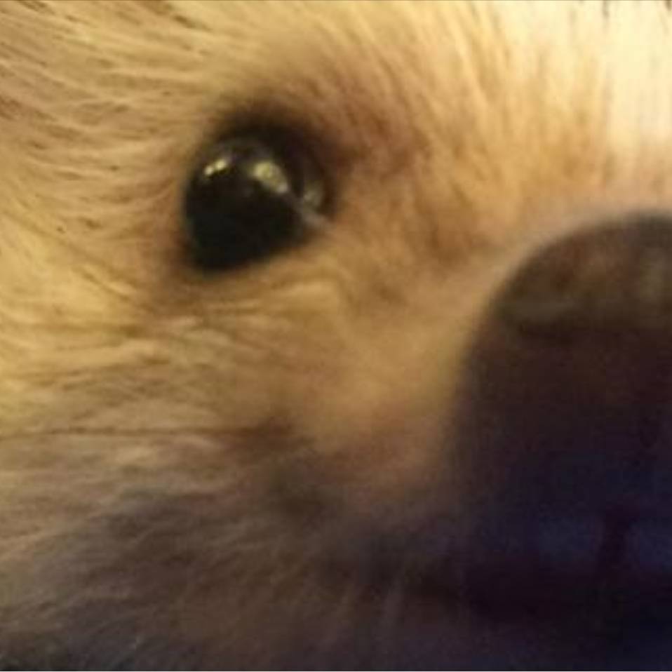 Иконка канала Mystyfoot