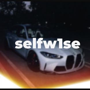 Иконка канала selfwise