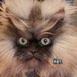 Иконка канала channel_cat