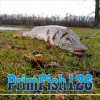 Иконка канала Рыболов любитель