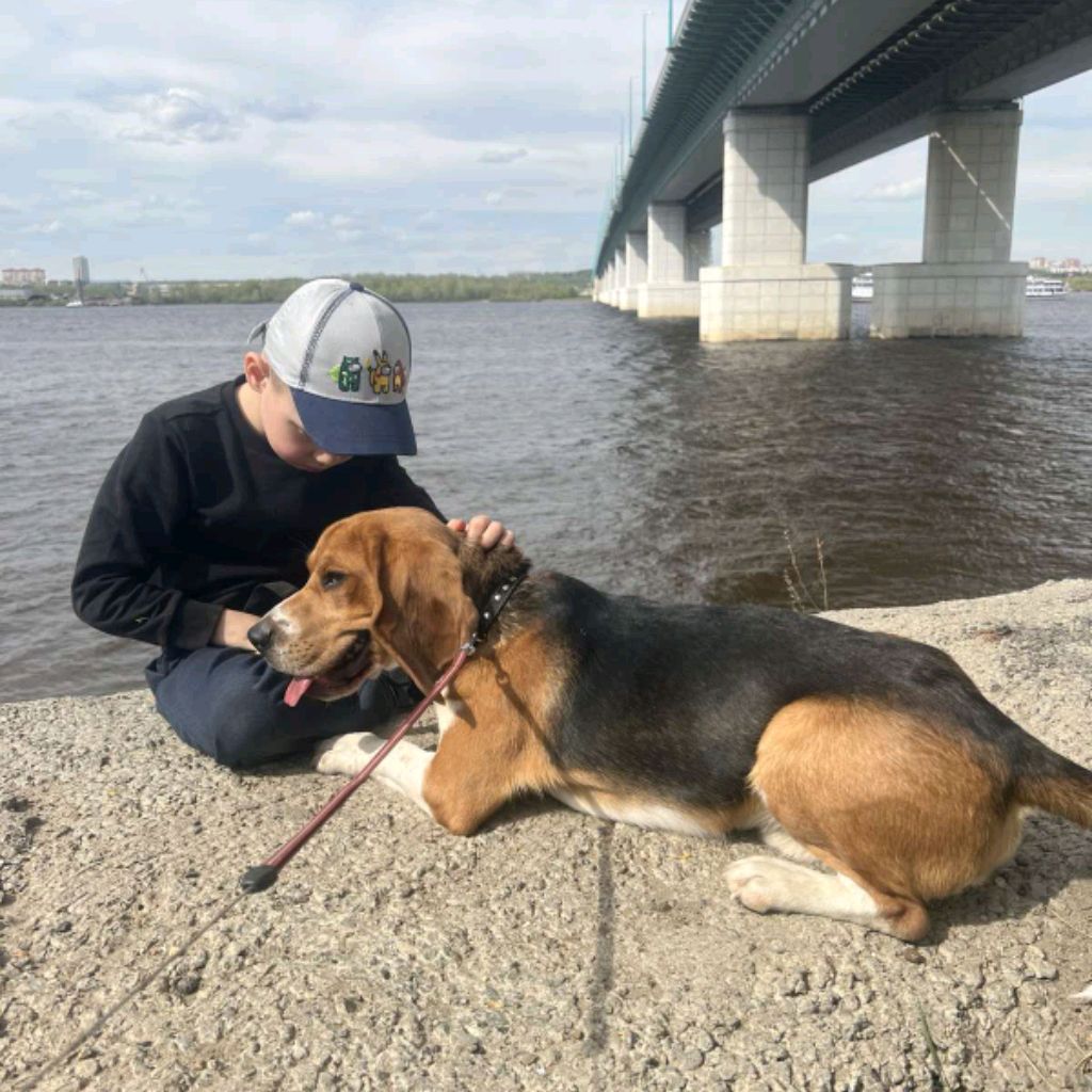 Иконка канала Твикс mix