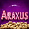 Иконка канала araxus