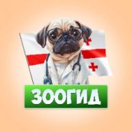Иконка канала ЗооГид в Грузии: Забота и уход за питомцами 🐾