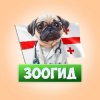 Иконка канала ЗооГид в Грузии: Забота и уход за питомцами 🐾