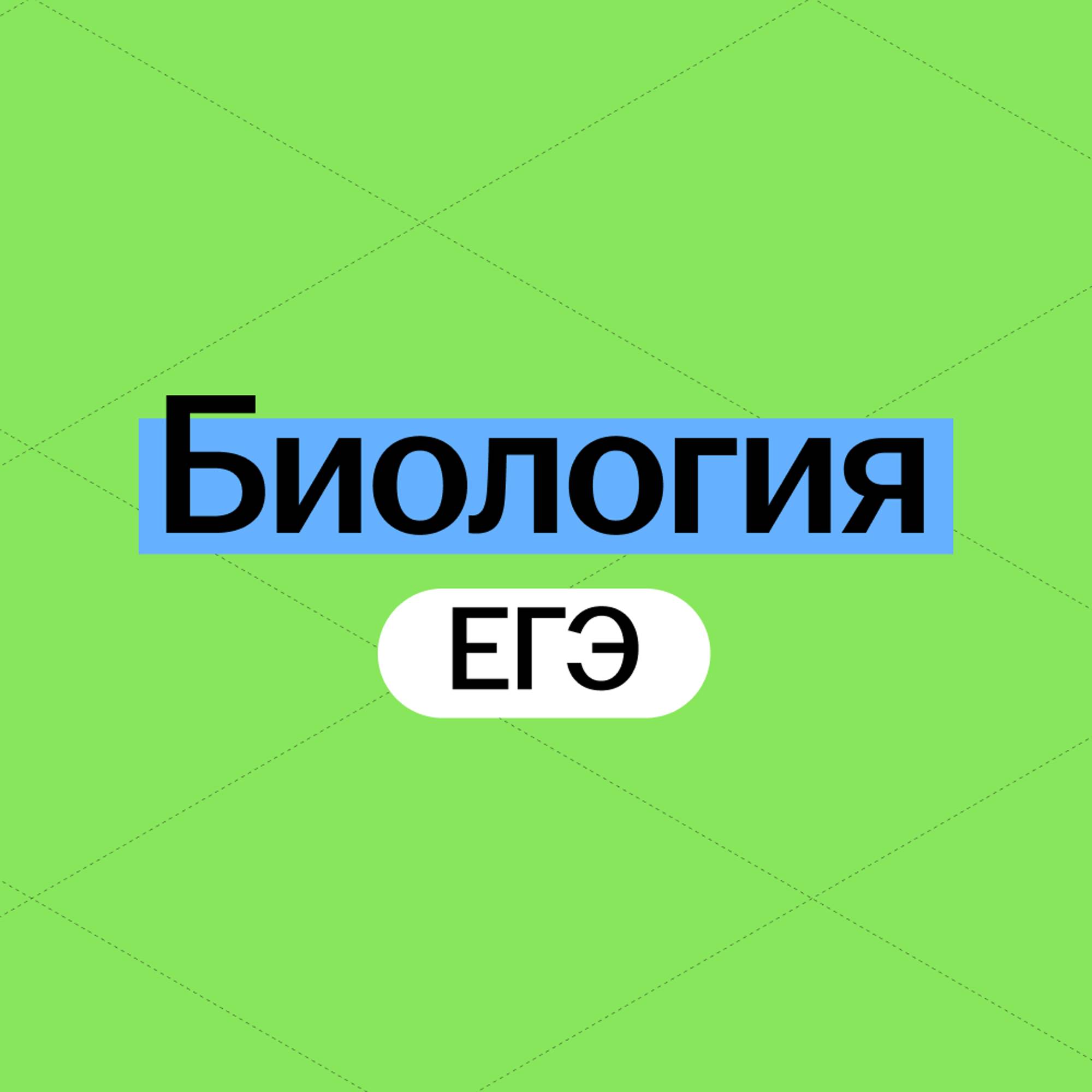Иконка канала Биология ЕГЭ 2026 Умскул
