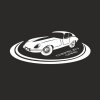 Иконка канала CHEPELEVCARS