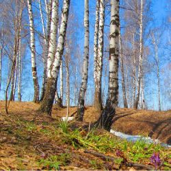 Иконка канала Mr. Lonely