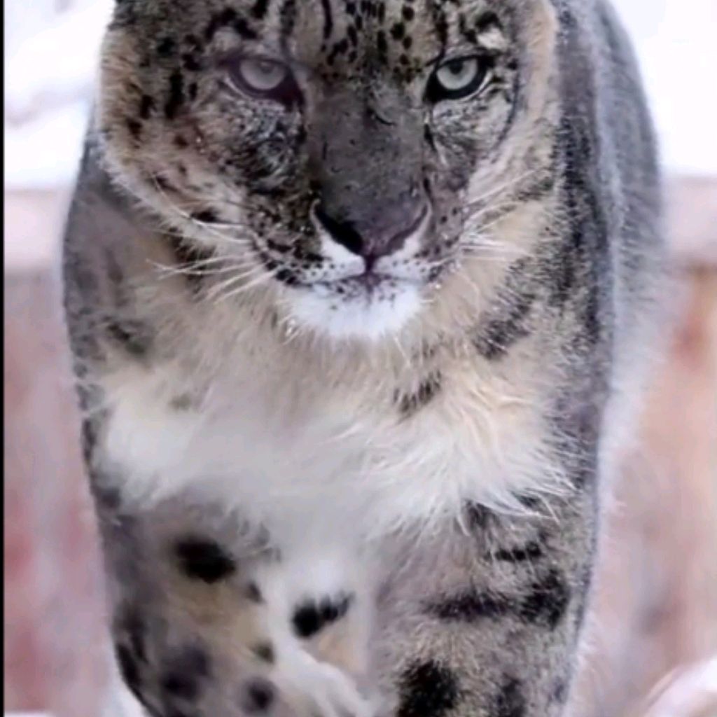 Иконка канала Aleks361982