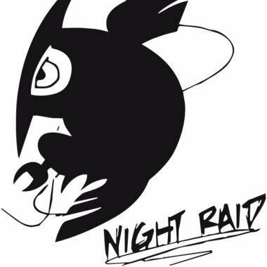 Иконка канала Ночной_рейд