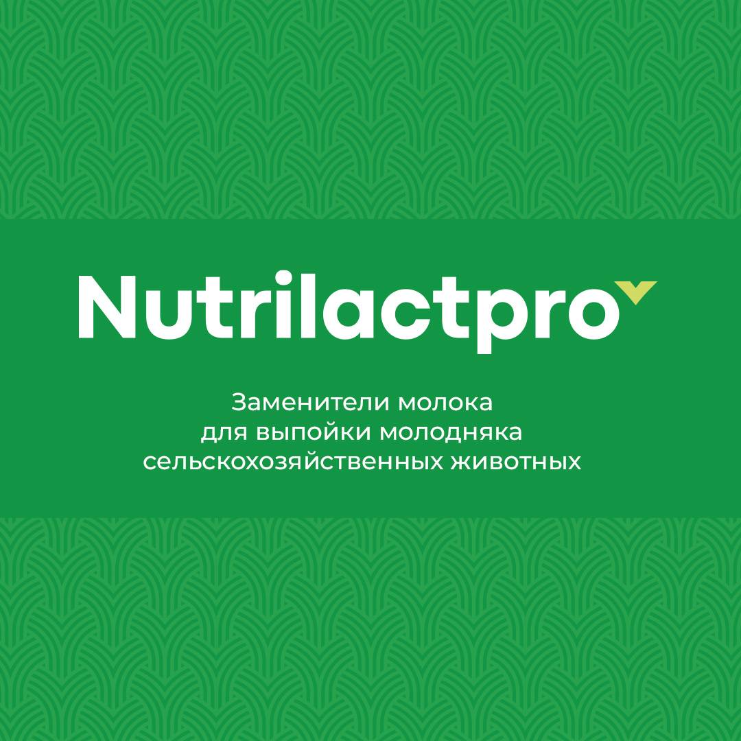 Иконка канала Nutrilactpro