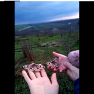 Иконка канала ПОДАРИ РЕБЁНКУ ЗЕМЛЮ