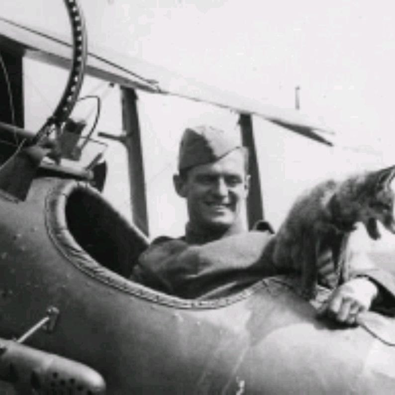 Иконка канала Gunship Sequel WW2 ЛИС "RUSSIA"