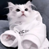 Иконка канала Miss.nastya