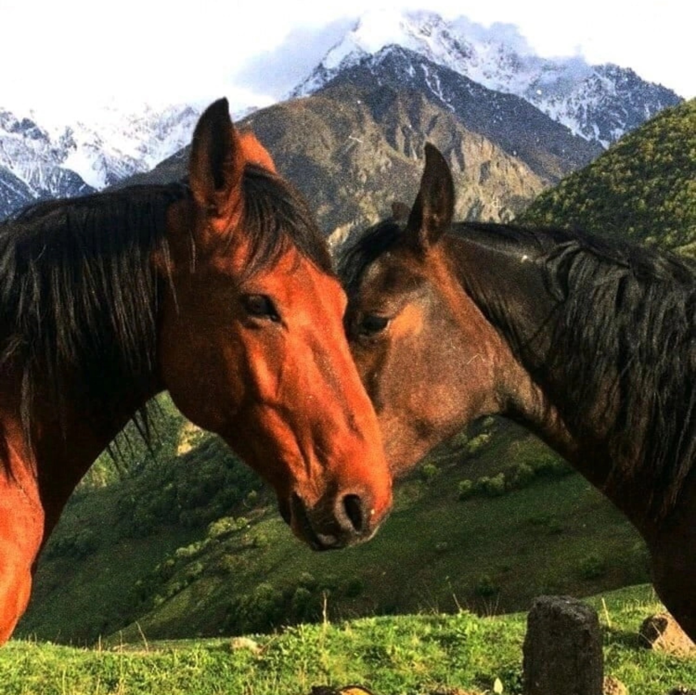 Иконка канала Самира Кулиева