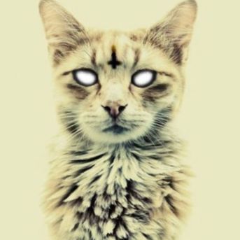 Иконка канала HH