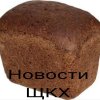 Иконка канала ЩКХ