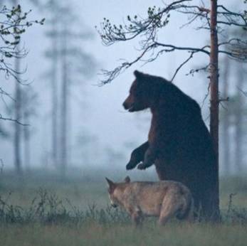 Иконка канала Бурыч