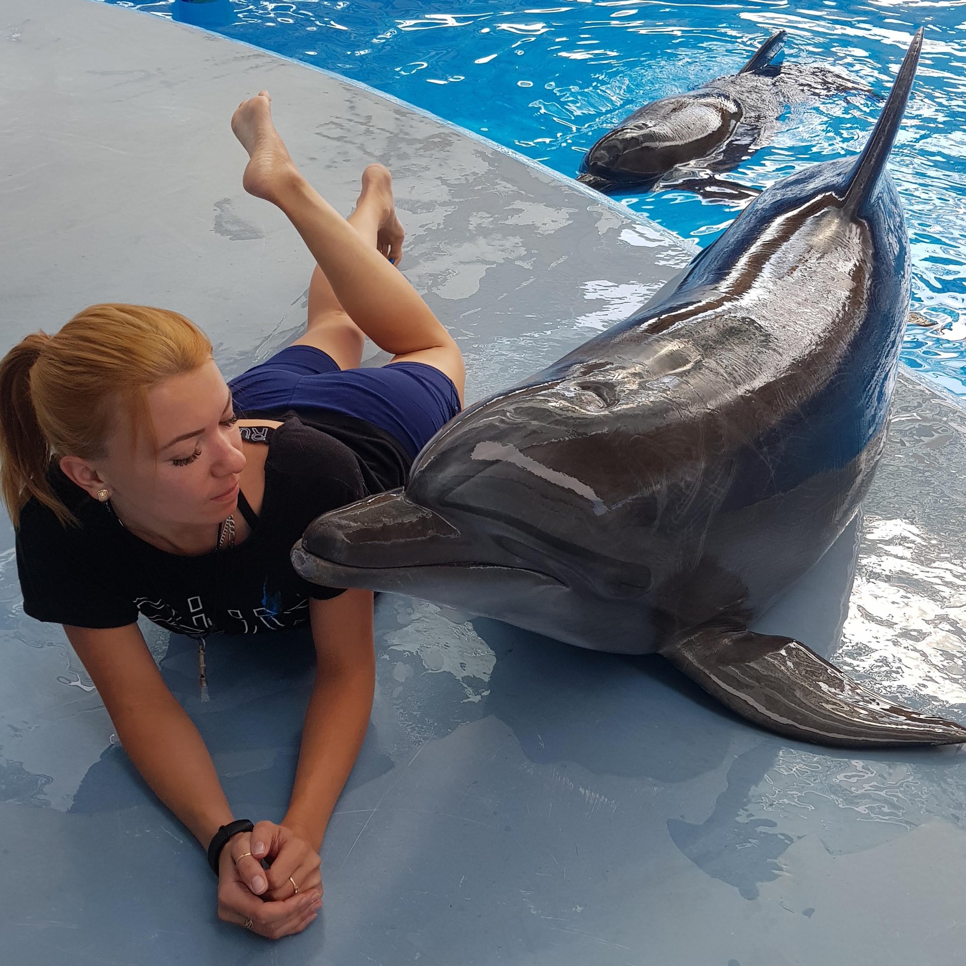 Иконка канала Все о дельфинах 🩵🐬