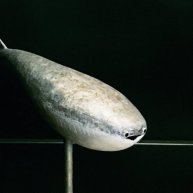 Иконка канала Перезаливы от Сакабамбасписа.