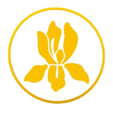 Иконка канала ИРИС. Творческая студия