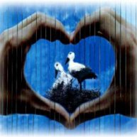 Иконка канала Творим своими руками