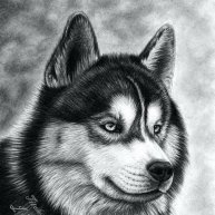 Иконка канала КИНОЛОГИЯ ДЛЯ ВСЕХ