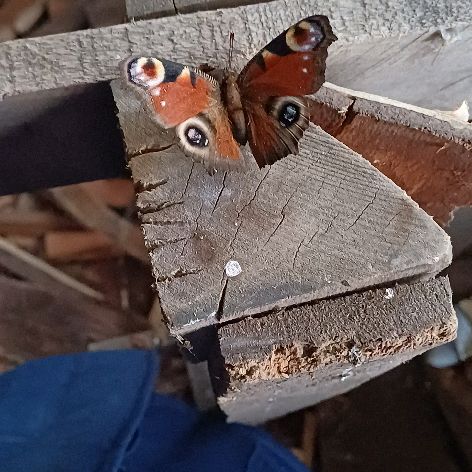 Иконка канала channel41660296